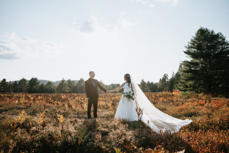 Planning Your Algonquin Park Wedding - Showit Blog